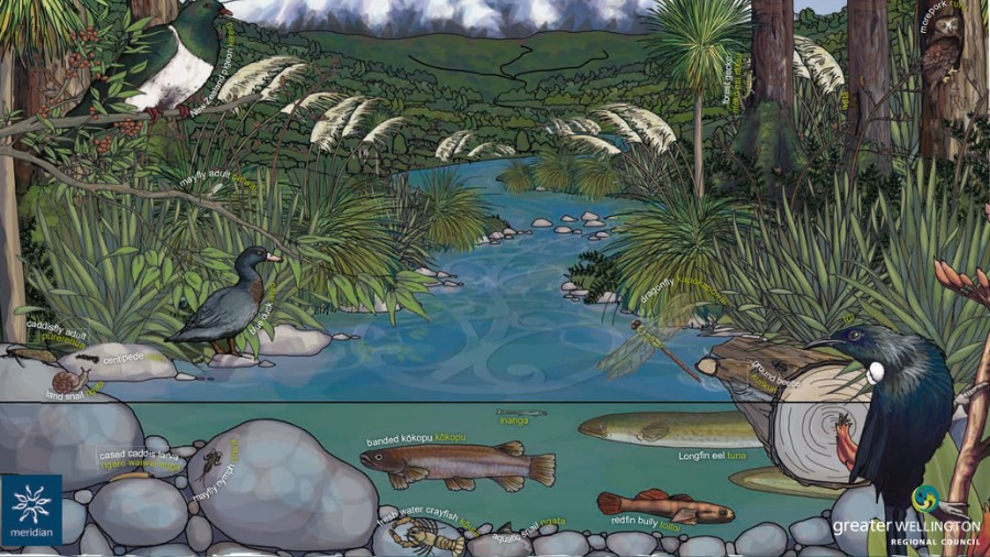 Take Action For Water Resources By Nzaee